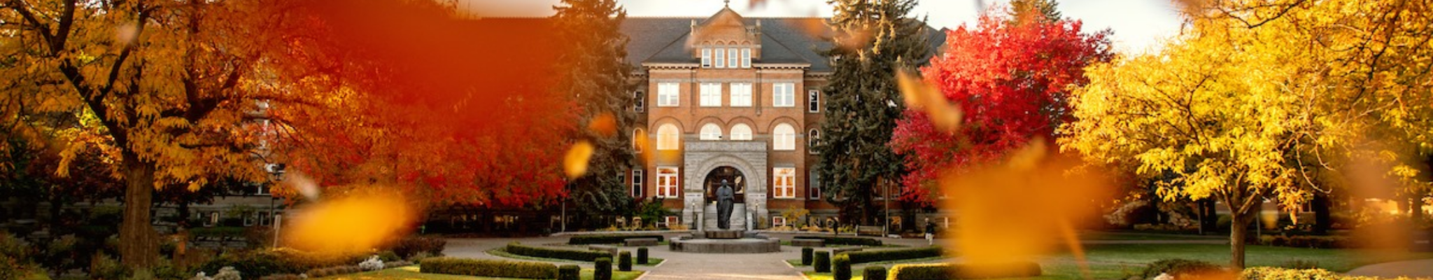 Top-100 Destination Universities - American Collegiate